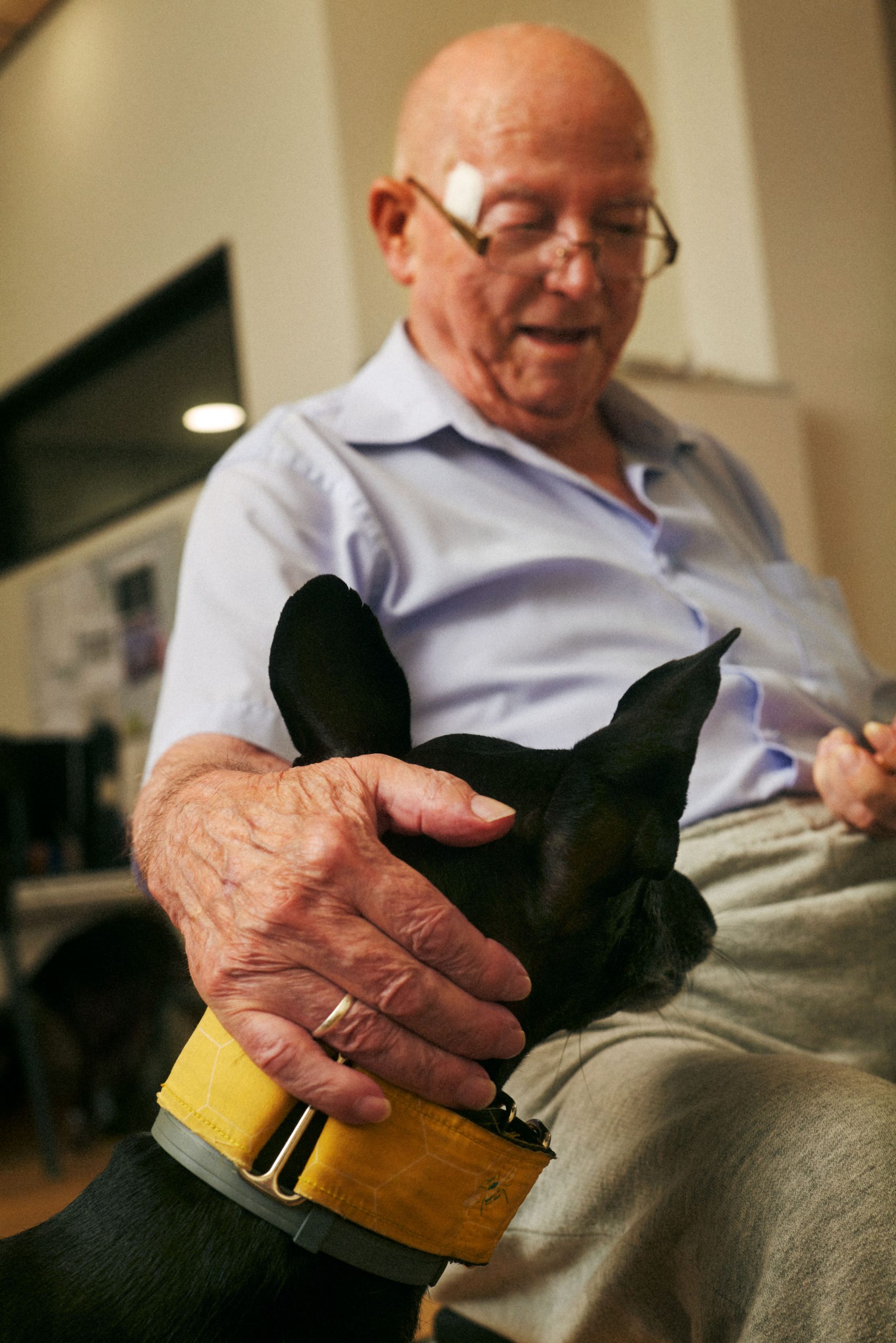 Enabling Seniors – Colisée Group